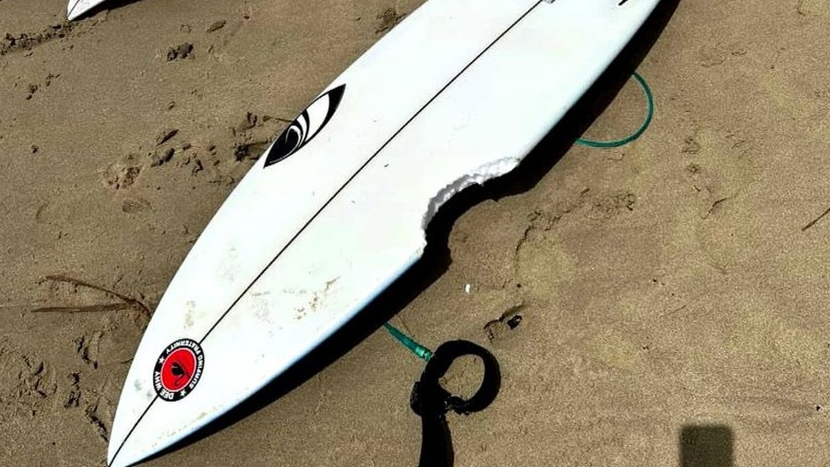 Austrália registra série de ataques de tubarão e acende alerta no surfe