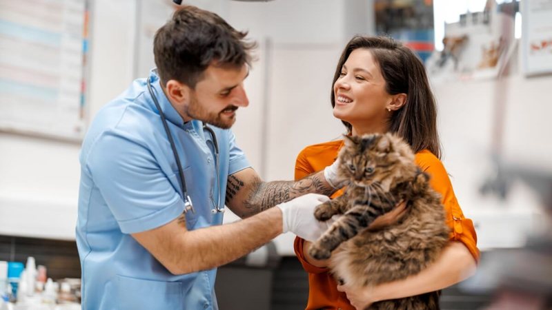 Entenda os impactos da castração no comportamento de cães e gatos
