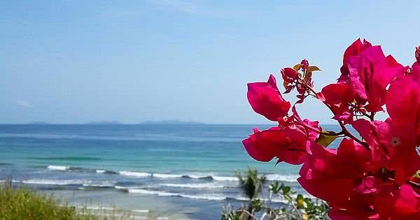 Primavera começa e já eleva temperaturas; veja o que muda no clima