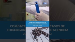 🦟ALERTA NO VERÃO: casos de chikungunya sobem e atenção redobra # ...