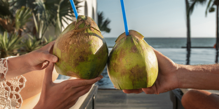 Essa é uma das melhores cidades do Brasil para vender coco na praia e ...
